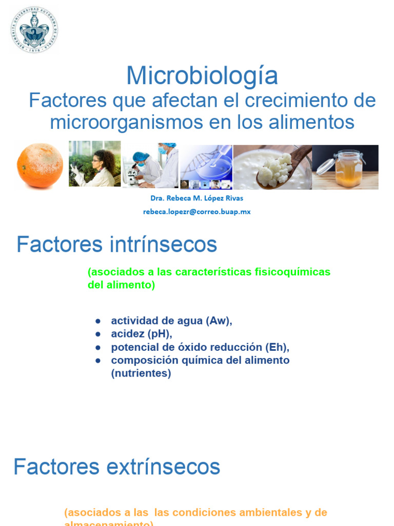 Microbiolog-A de Los Alimentos Factores Que Afectan El Crecimiento de Microorganismos en Los ...