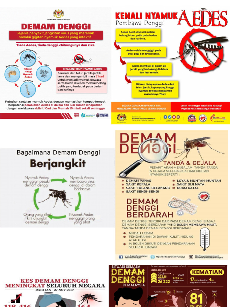 Aedes | PDF