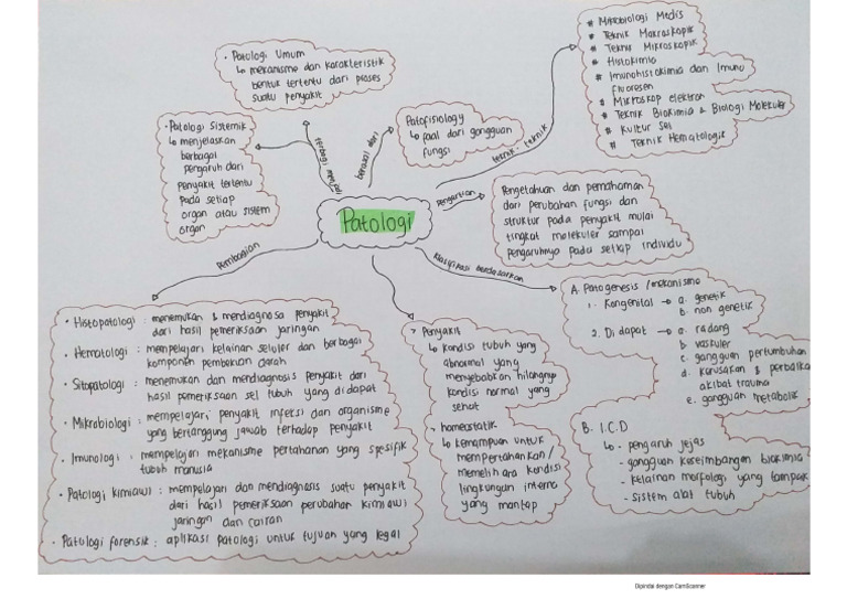 Anisya Dewi Anjani - 2016210019 - Kelas A - Tugas Mindmap | PDF
