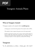 Enviropig: Genetic Modification Process | PDF | Genetically Modified ...