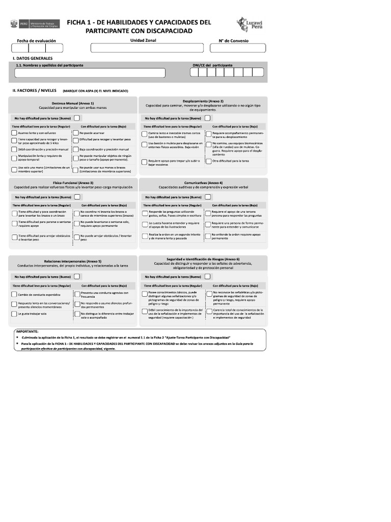 RD 189-2022-LP-DE - FICHAS 1 y 2 de Habilidades y Capacidades de PCD | PDF