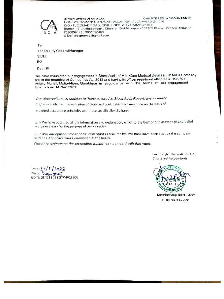 Stock Audit Report Compressed | PDF