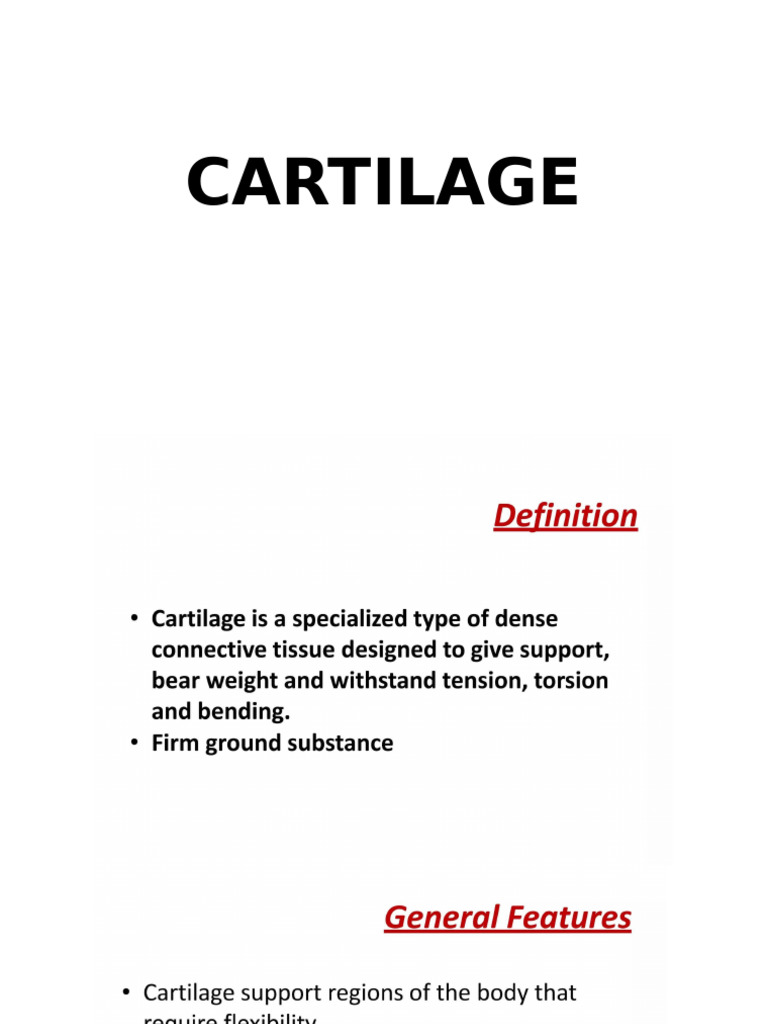 Cartilage | PDF