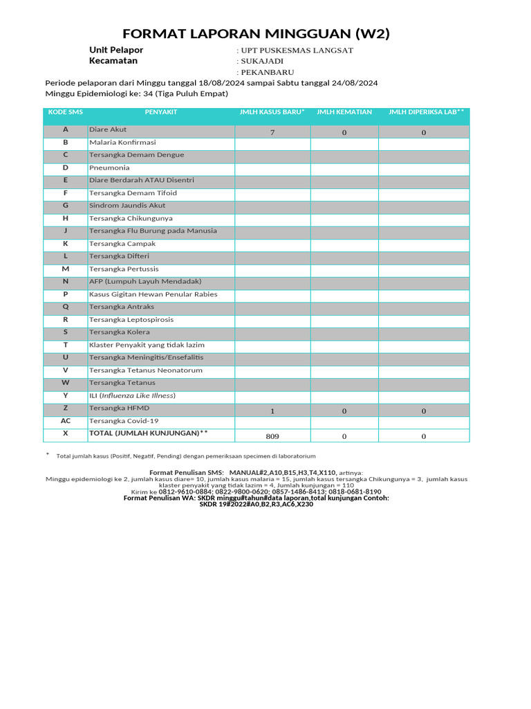 Format Rekap Lap SKDR Pusk Tahun 2024 | PDF