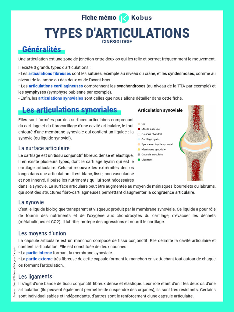 Types d'Articulations et Mouvements | PDF | Articulation (anatomie ...