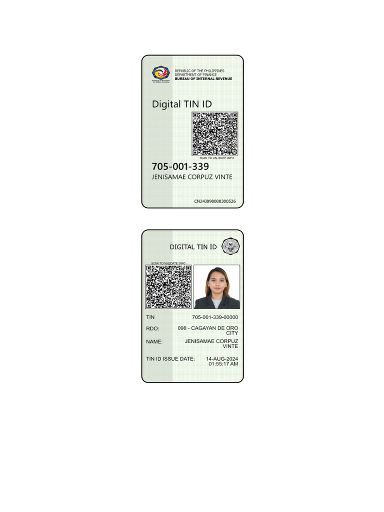Digital TIN ID Verification Guide | PDF
