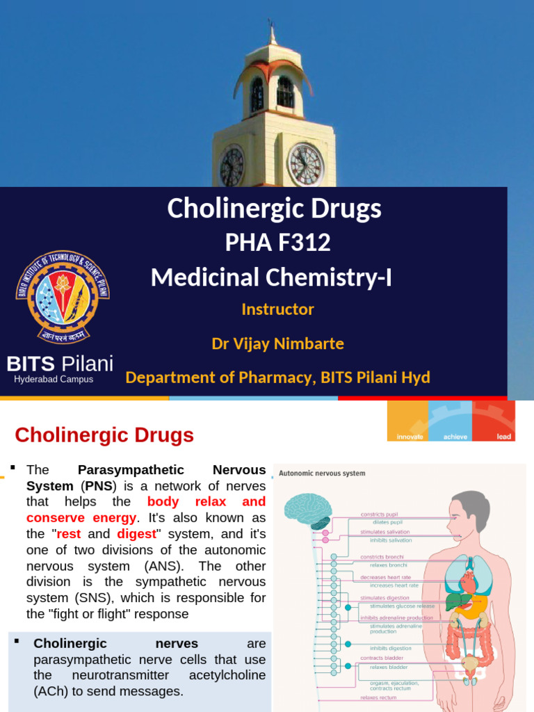 Cholinergic Drug Discovery 13 - 09 - 2024 | PDF | Acetylcholine ...