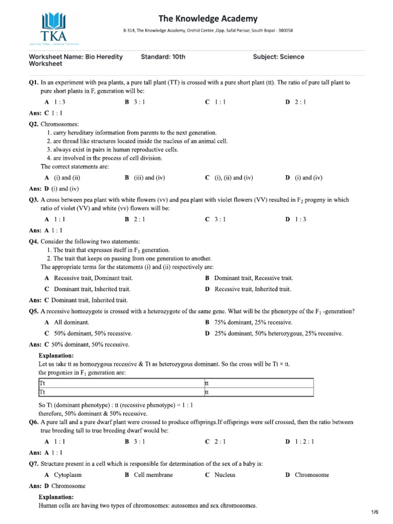 Class 10 Heredity Worksheet Ans Key | PDF