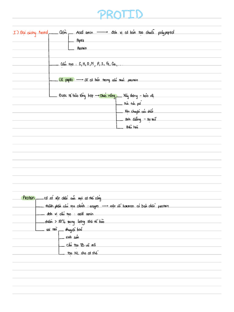 Hóa Học Protid | PDF