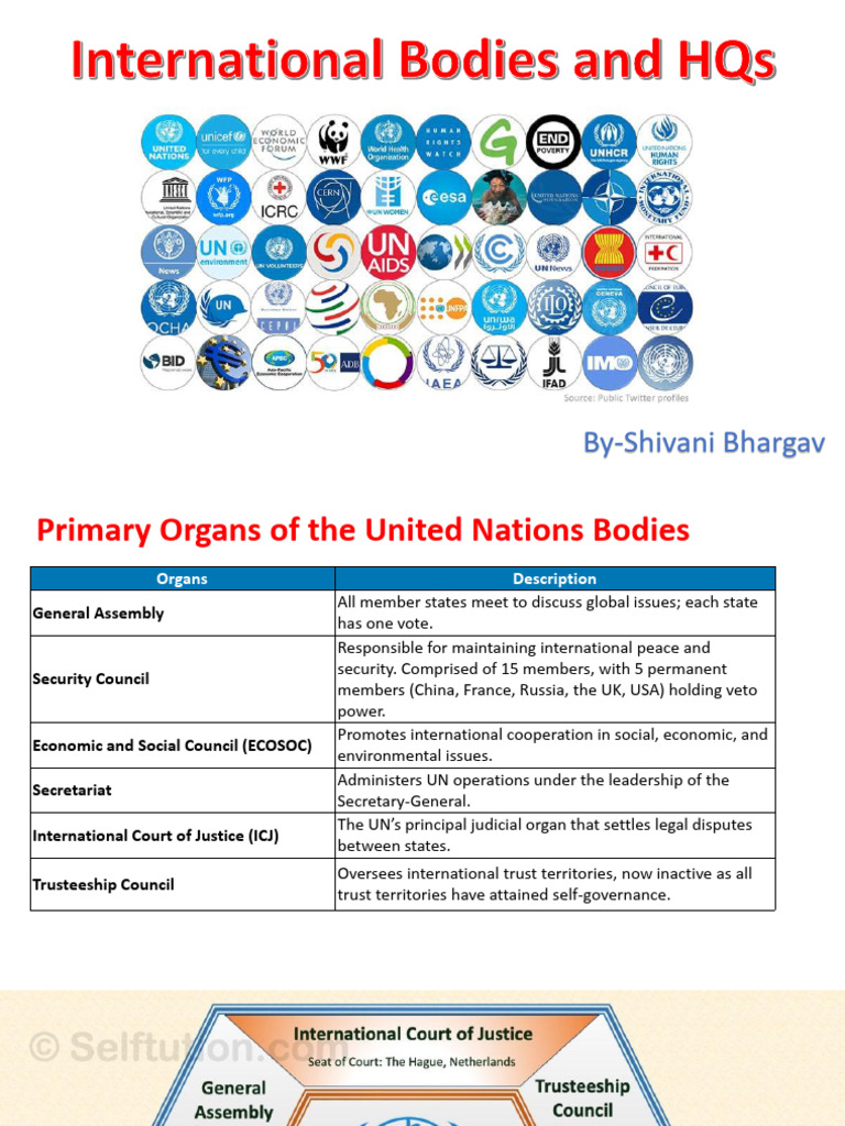 International Bodies | PDF | United Nations | International Relations