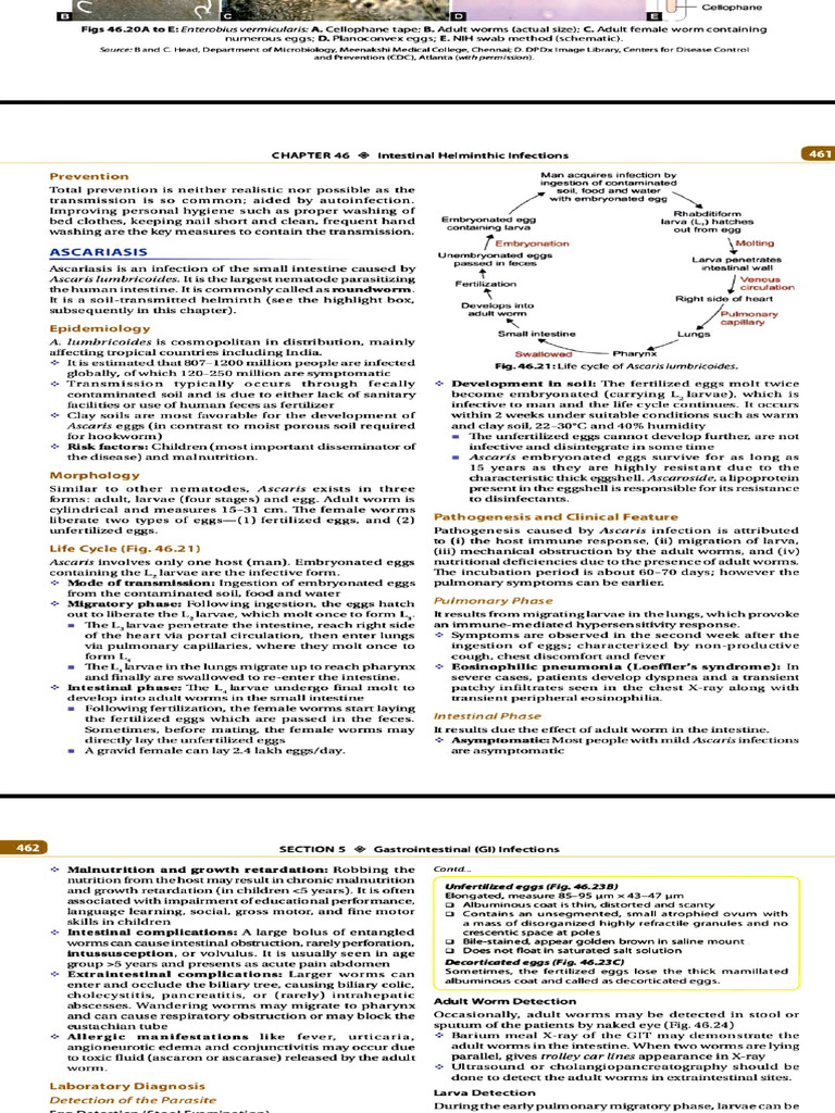 Adobe Scan 15 Jan 2025 | PDF | Diseases And Disorders | Medical Specialties
