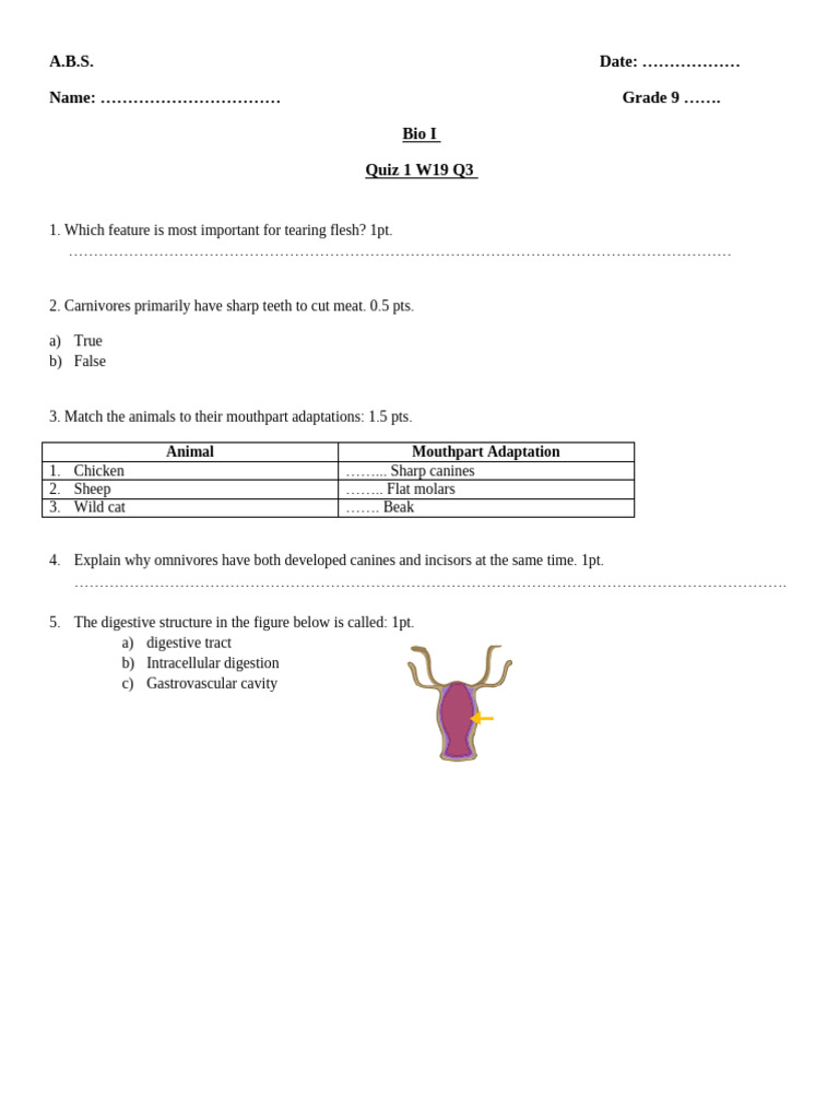 Animal Digestion Quiz | PDF