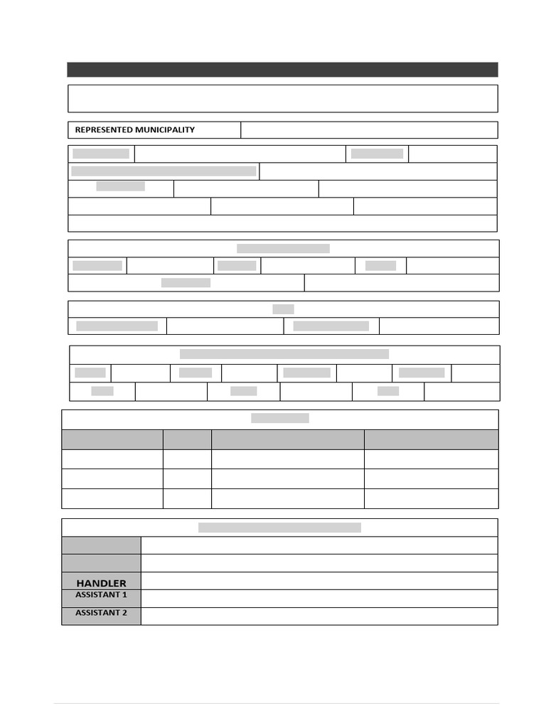 Ms. FABulosa 2024 Registration Form | PDF