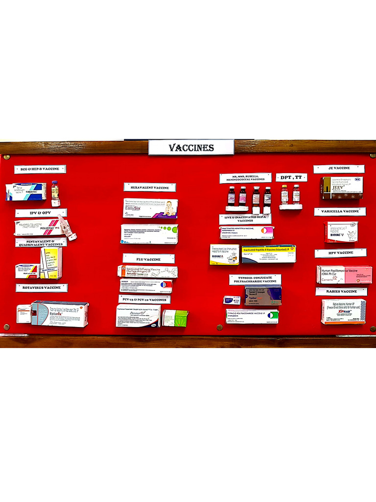 Paeds Instruments | PDF