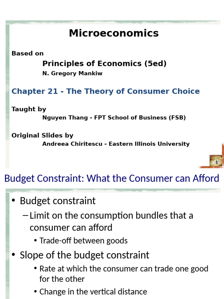 The theory of consumer choice | PDF | Labour Economics | Demand