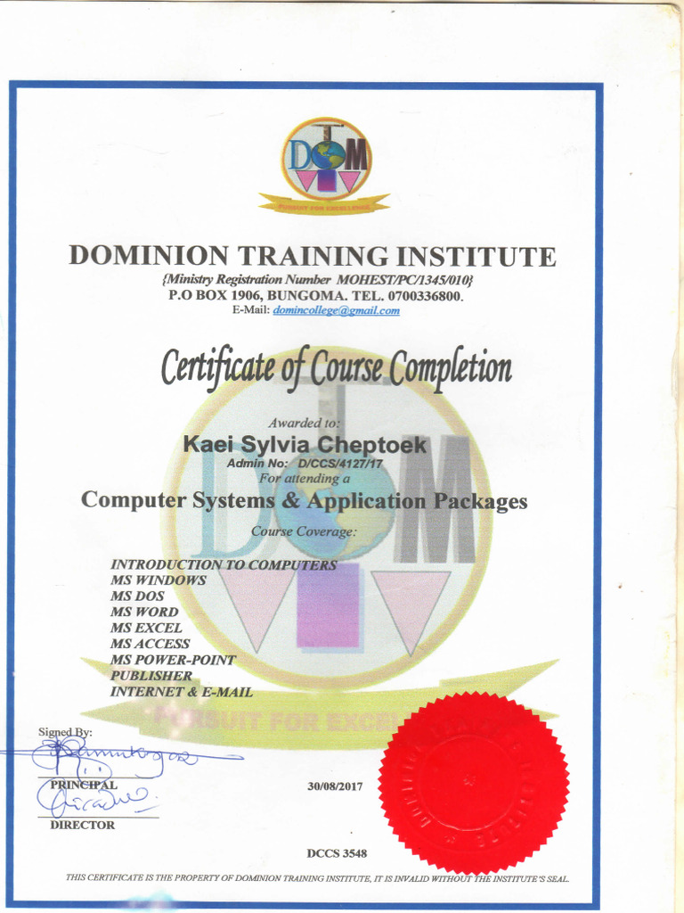 Computer Packages | PDF