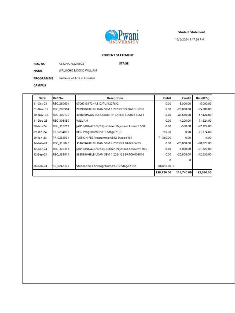 Student Financial Statement | PDF
