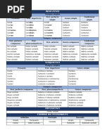 Esquema Verbos | PDF