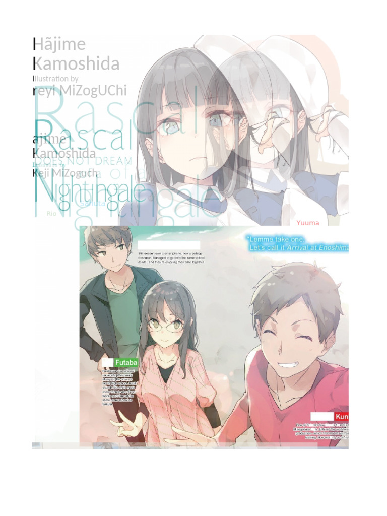 Rascal Does Not Dream Vol. 11 | PDF