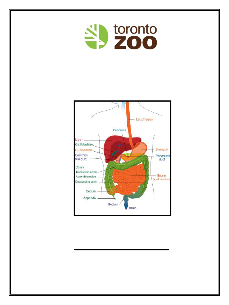 Grade 5 Human Organ Systems Guide | PDF | Digestion | Nutrition Facts Label