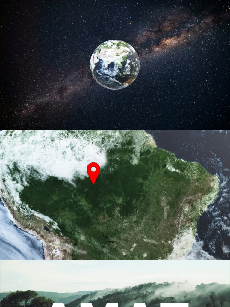 Amazon Rainforest Pdf Amazon Rainforest Rainforest