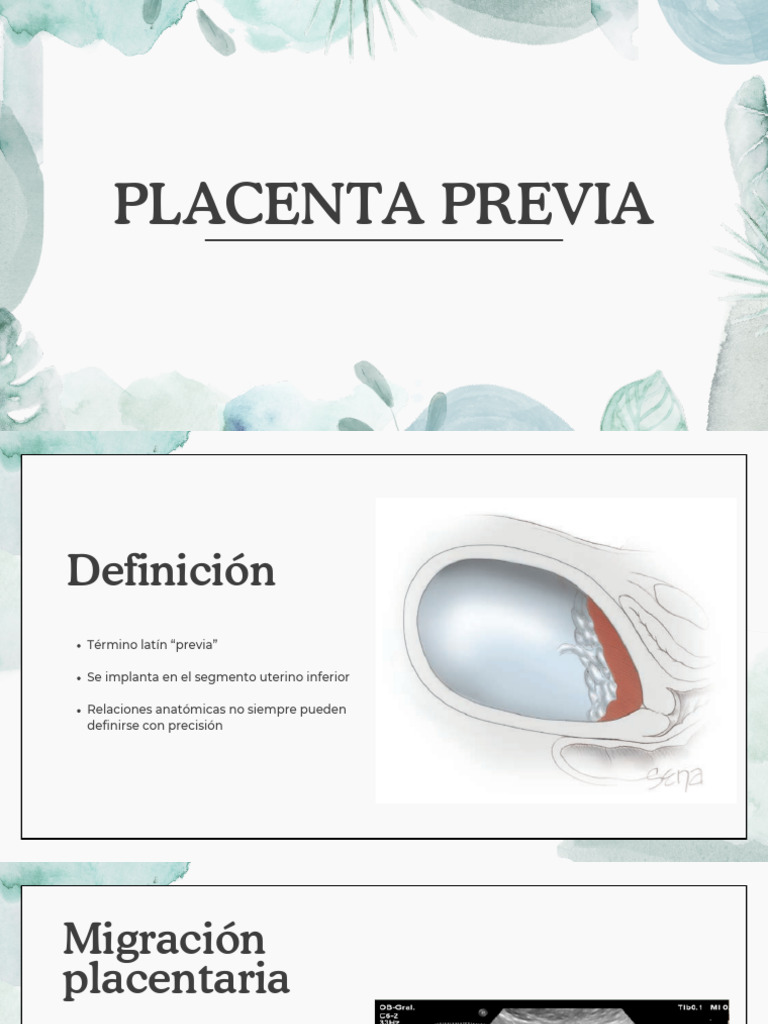 Placenta Previa y Desprendimiento de Placenta Normoinserta(2) | PDF ...