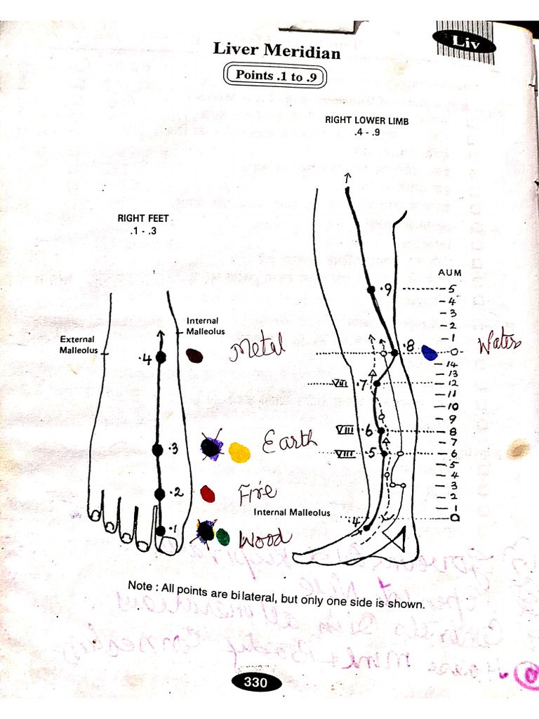 Liver (Lv) Meridian-All points' description | PDF