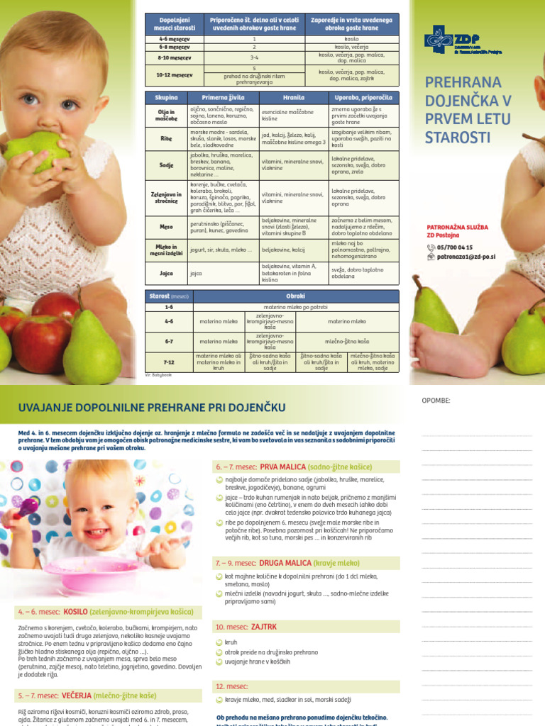 Patronaza Zlozenka Prehrana Dojencka Postojna | PDF