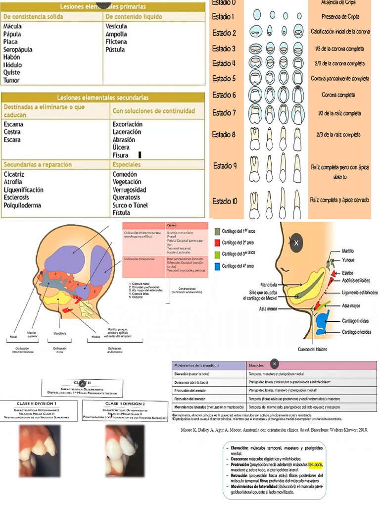Claves de Examen Enao | PDF
