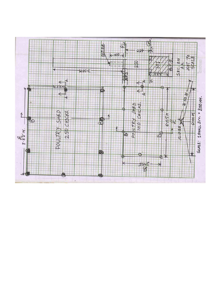 Poultry Drawing | PDF