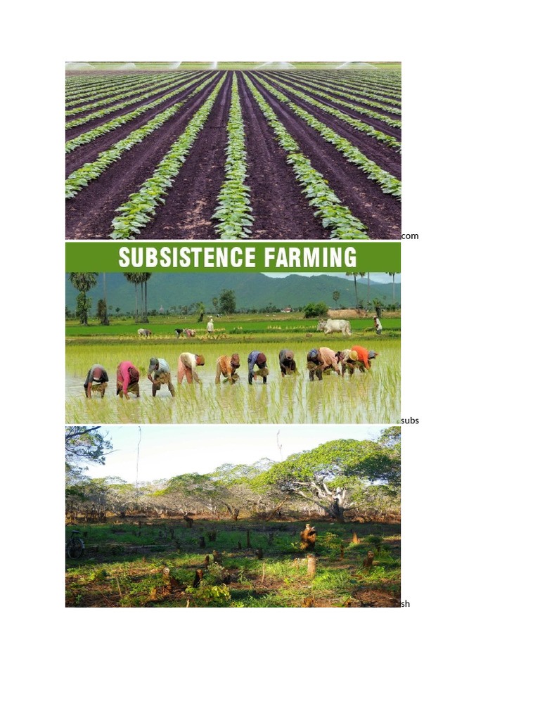 Agriculture Pdf