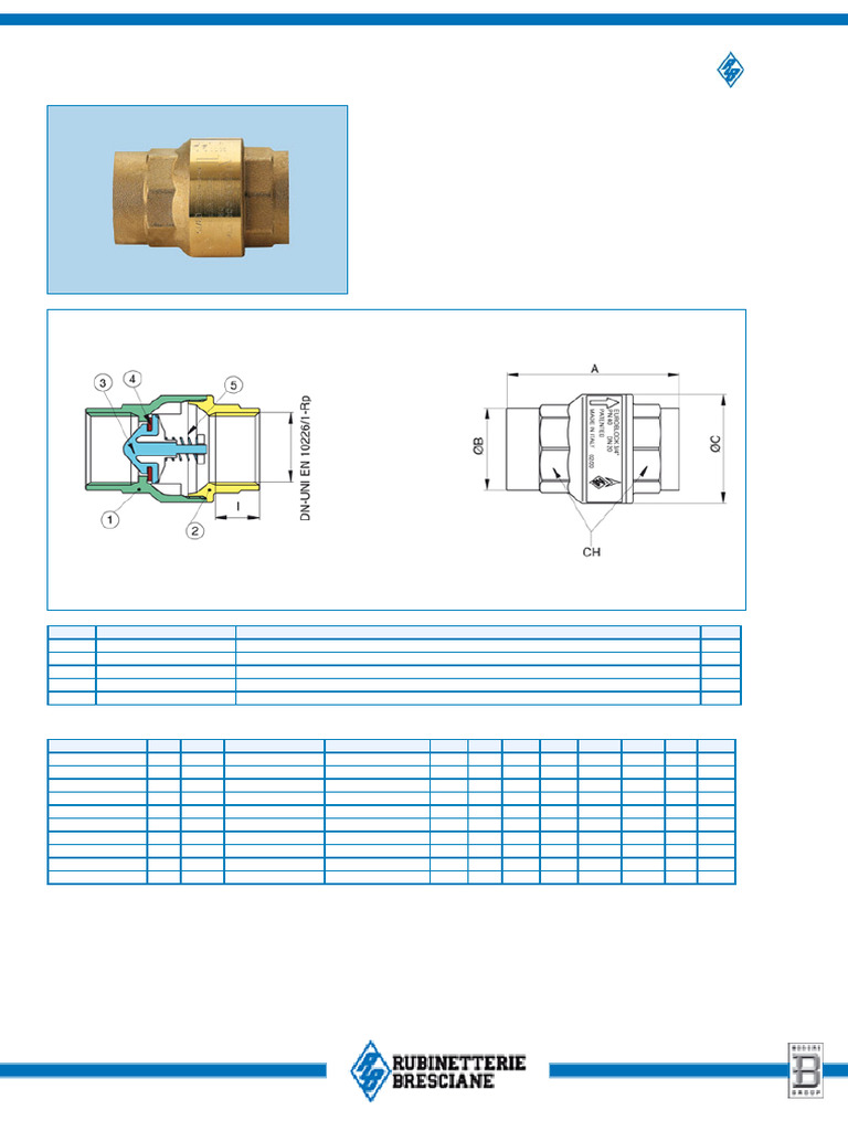 Check Valve Model 100000 (4) | PDF | Hydraulics | Gas Technologies