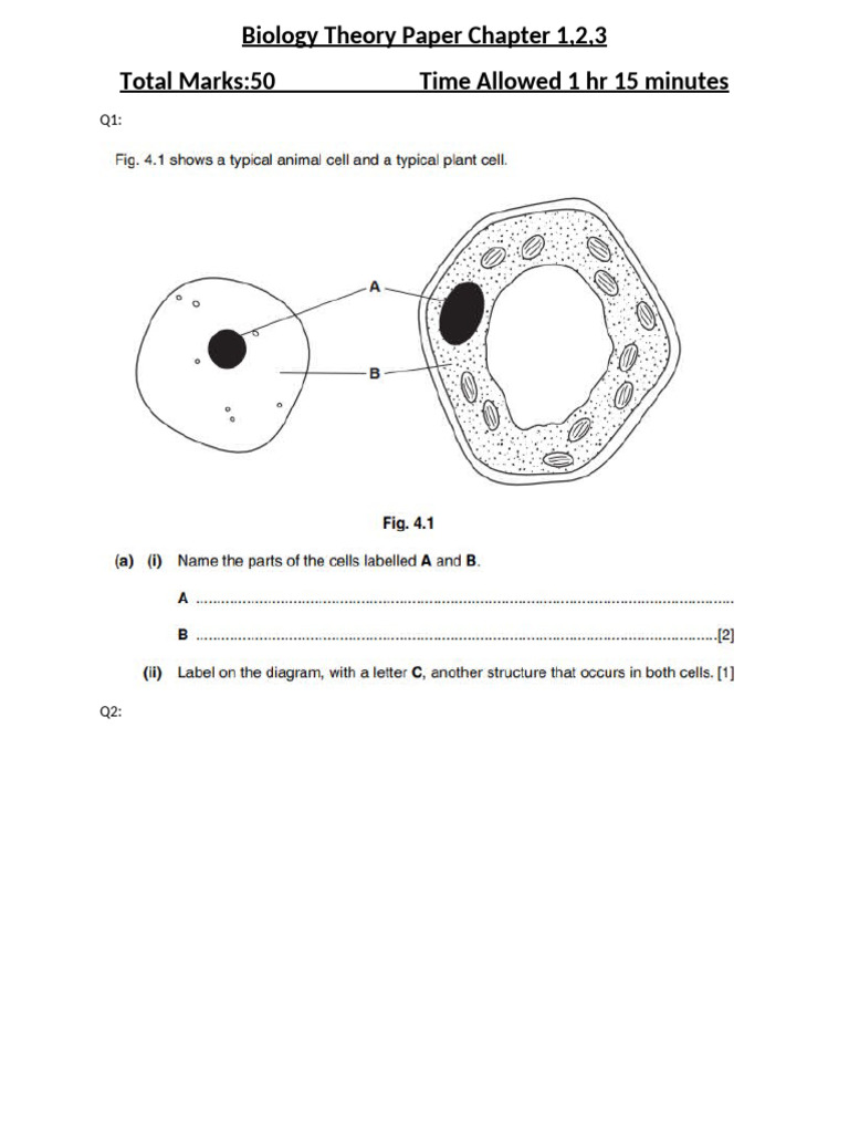Biology Theory Paper Chapter 1,2,3 | PDF