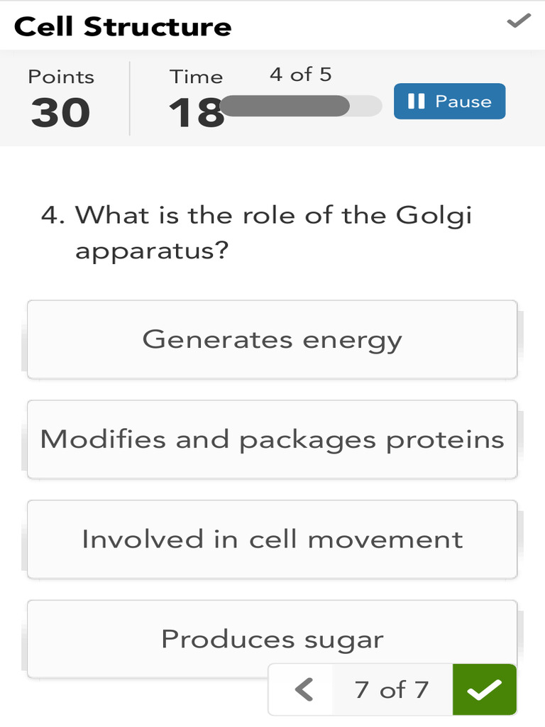 Savvas Realize | PDF