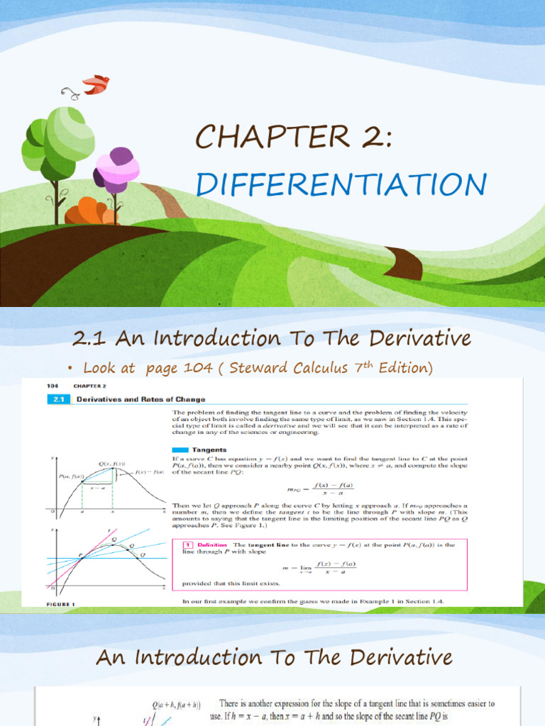 2.1 INTRODUCTION TO DERIVATIVE PAGE | PDF