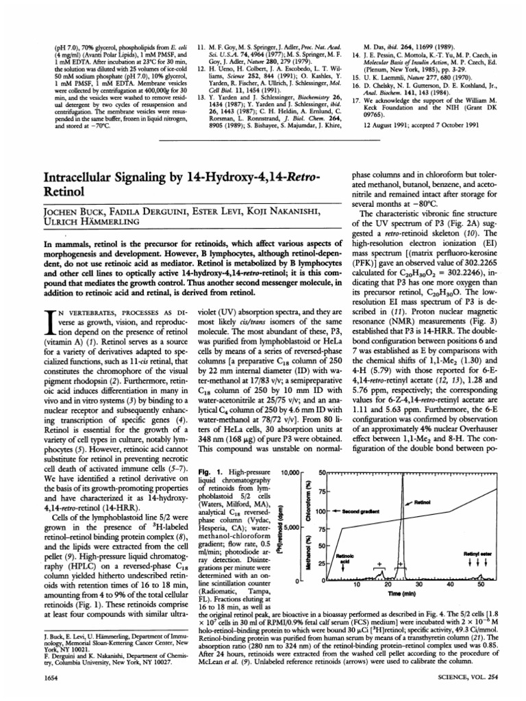 Buck 1991 | PDF