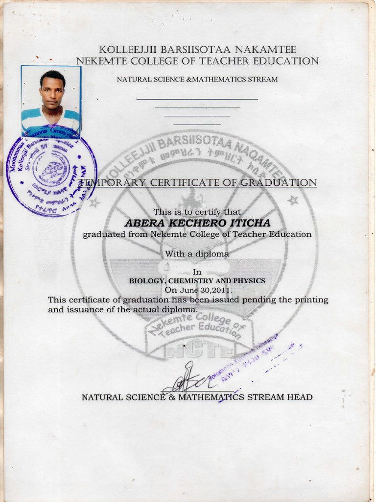 Abera Document | PDF