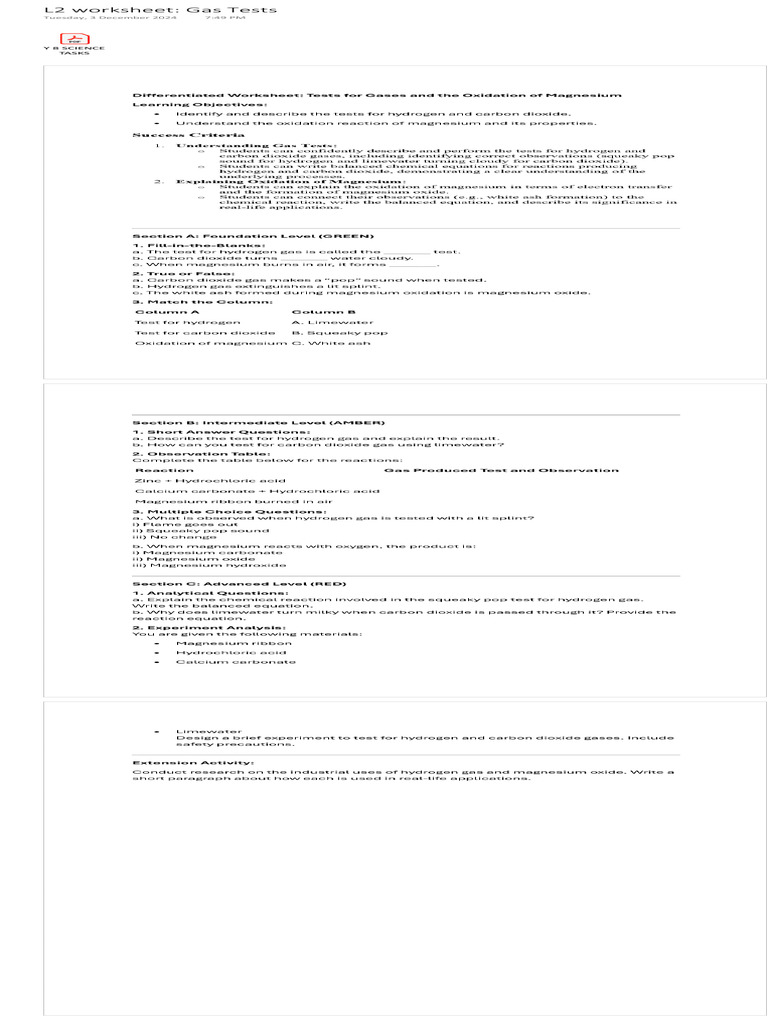 L2 Worksheet Gas Tests | PDF