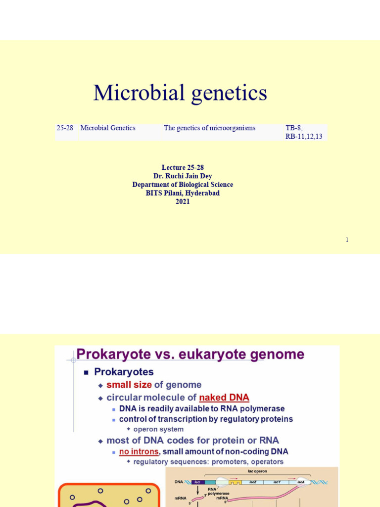 Microbial Genetics | PDF | Operon | Genetic Code