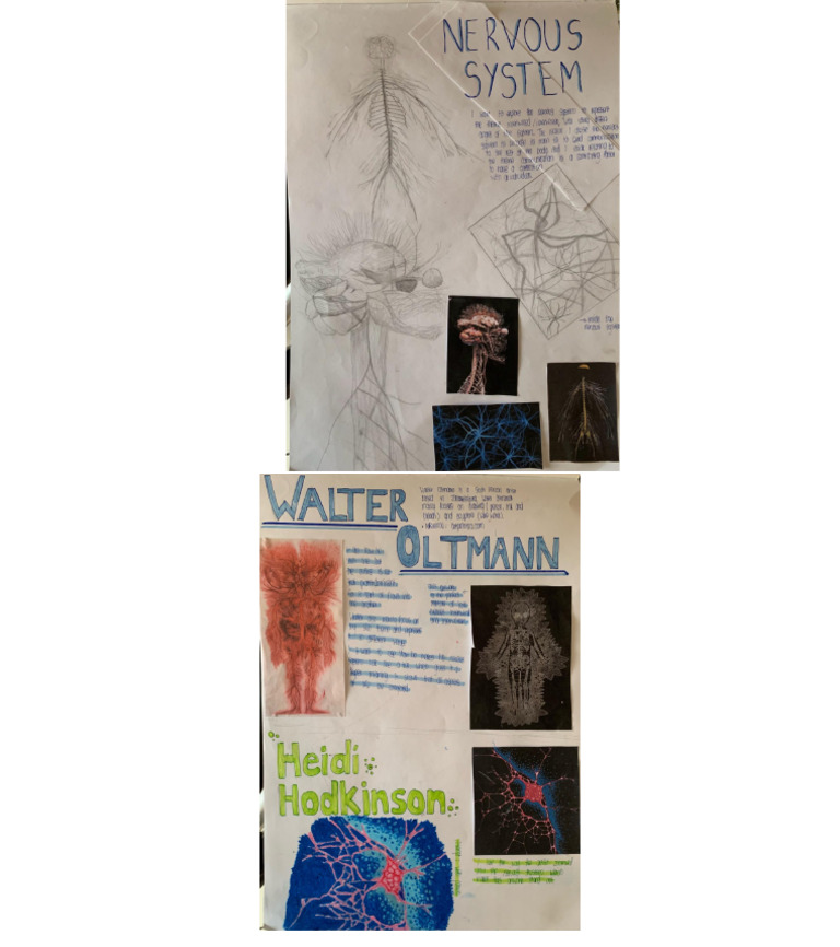 Art Assignment | PDF