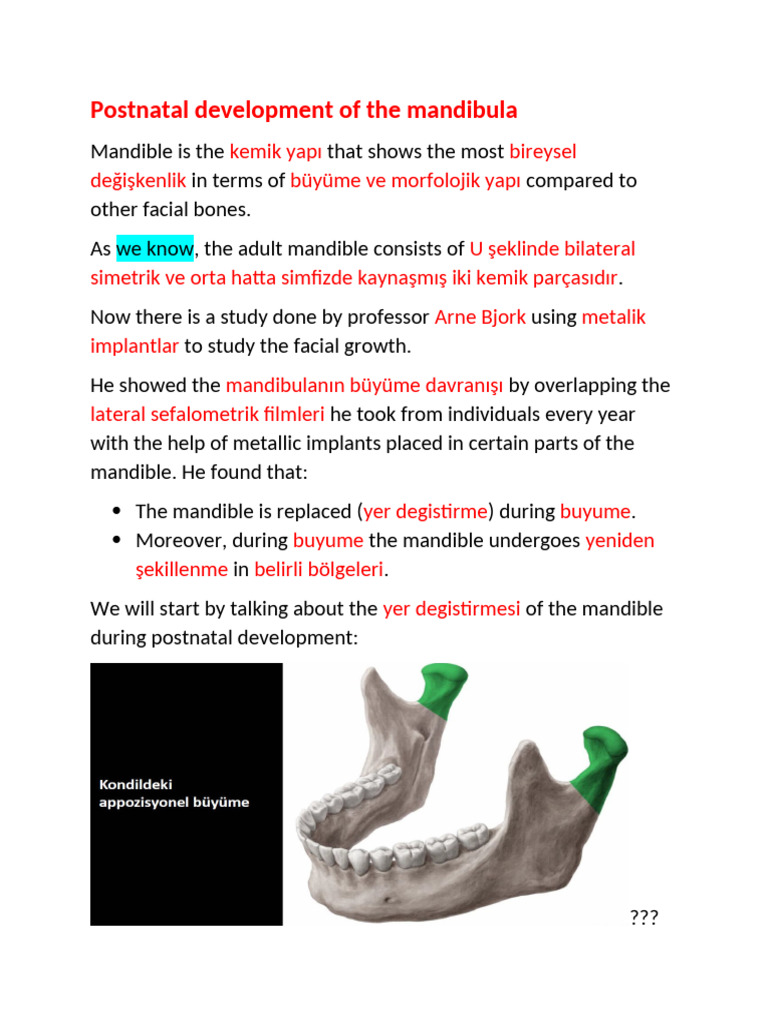 Mandibula Postnatal Development | PDF