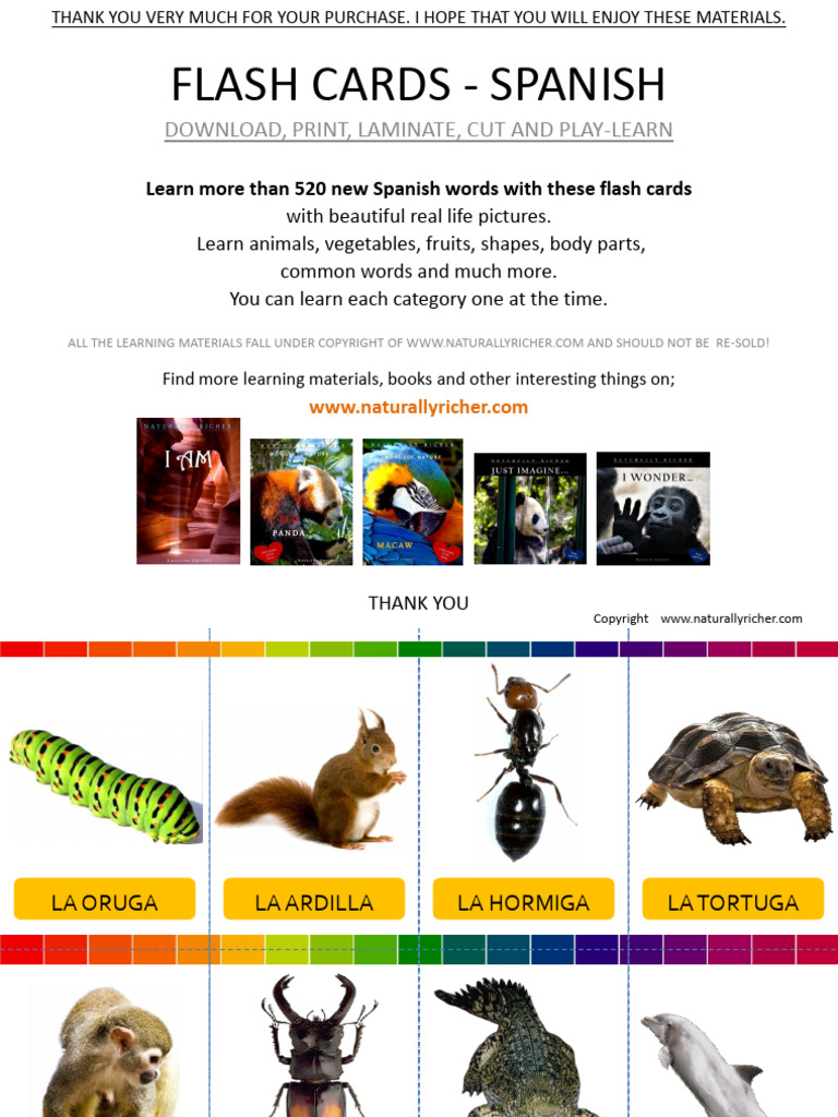 Flash Cards Spanish Complete | PDF | Alimentos | Cocina