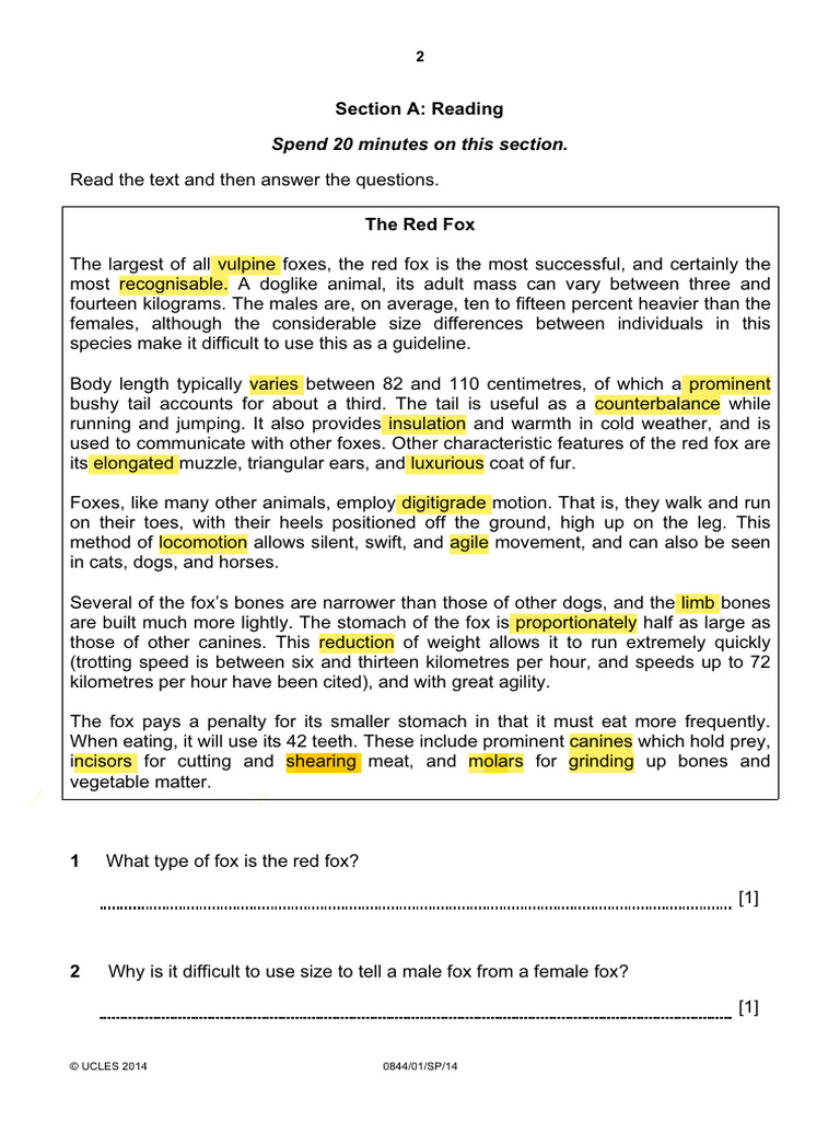 1002 Reading Comprehension Y7 | PDF | Fox | Sentence (Linguistics)