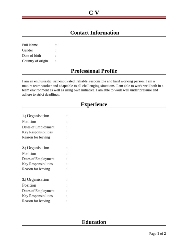 Professional CV Template | PDF