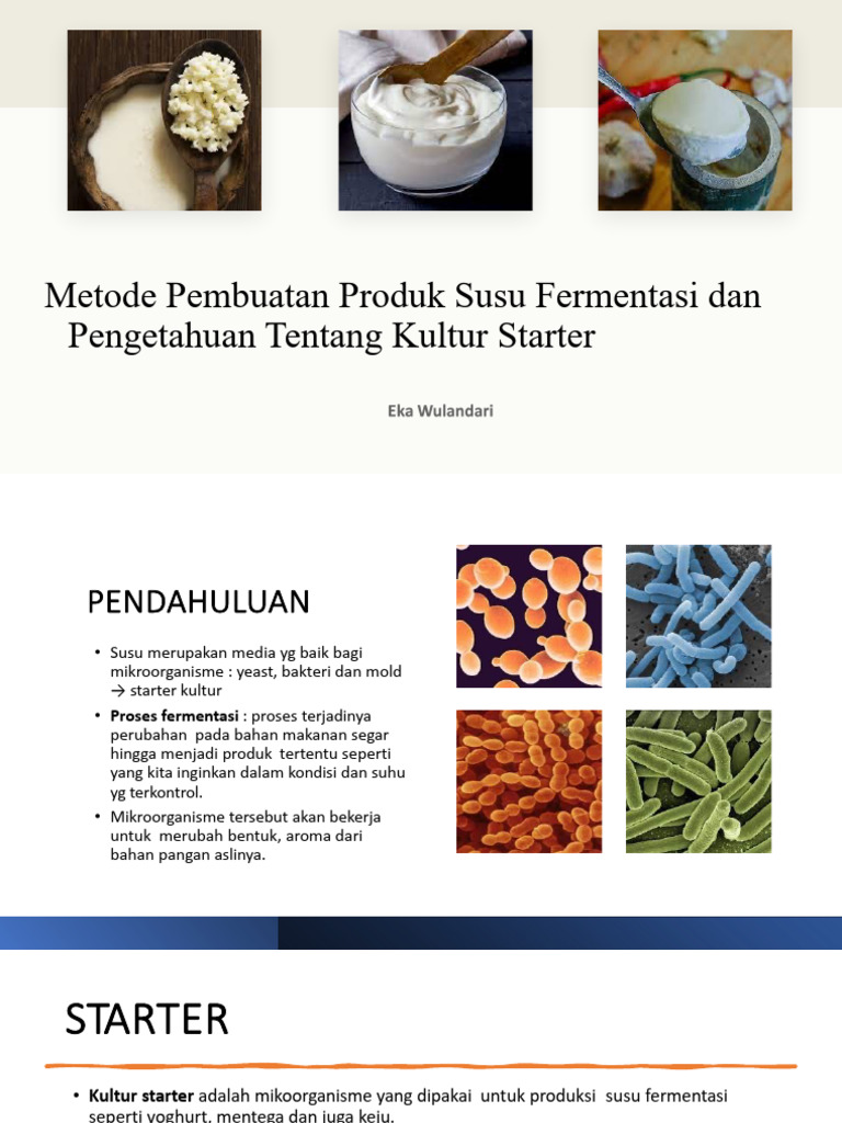 Metode Pembuatan Susu Fermentasi | PDF