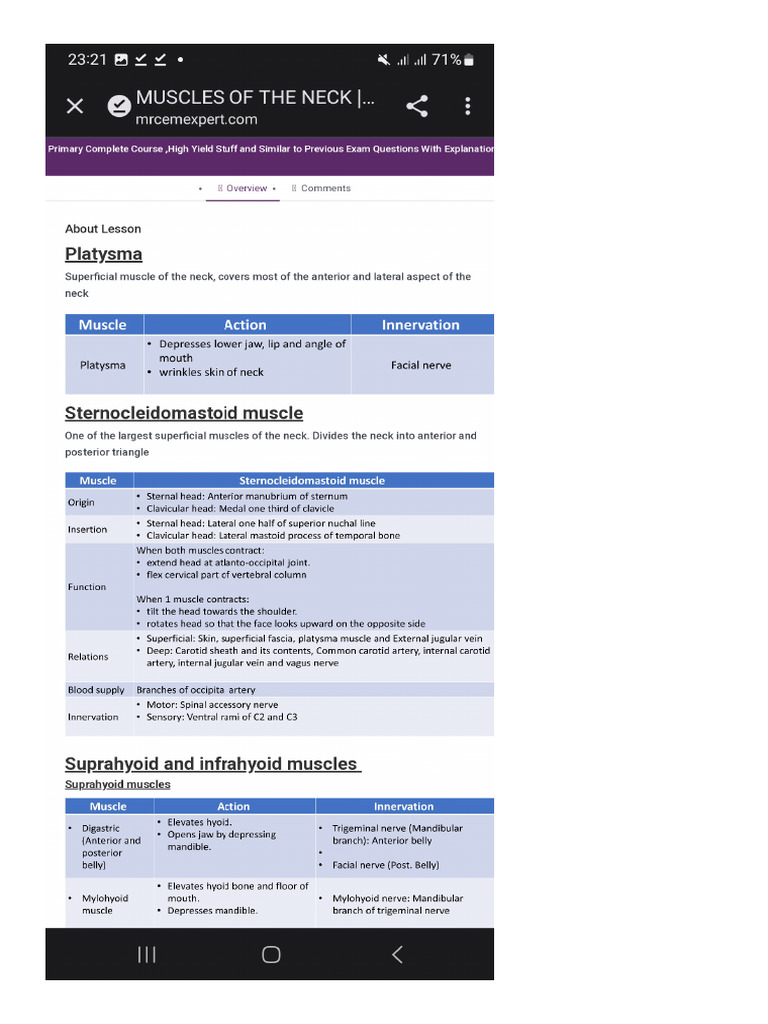 Head N Neck Expert | PDF