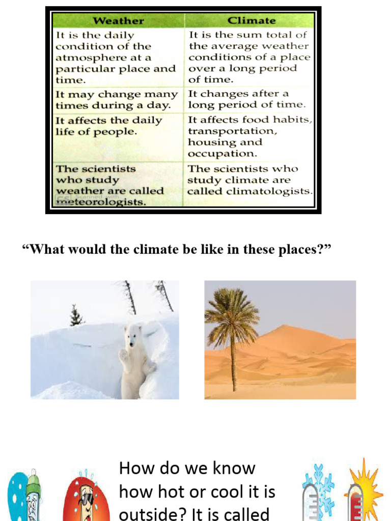 Understanding Temperature Measurement | PDF