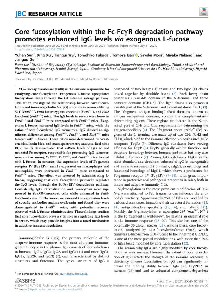 Core Fucosylation Within The FC-FCGR Degradation Pathway | PDF ...