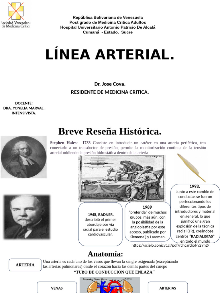 Línea Arterial Yonelia Martes2025 | PDF | Corazón | Artería