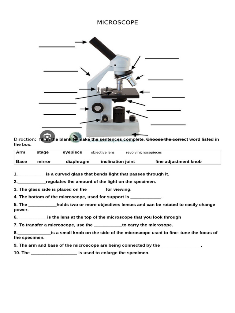 MICROSCOPE | PDF